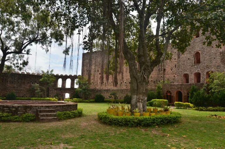 Things To Know Before Going To Morni Hills In Haryana