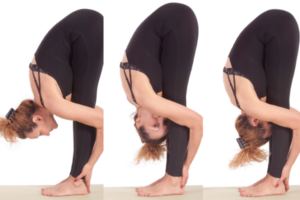 12 Surya Namaskar Steps & Poses Explained With Images