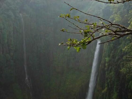 List Of 30 Waterfalls In Maharashtra That You Must Visit