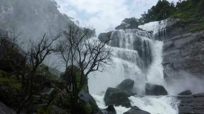 List Of 30 Waterfalls In Maharashtra That You Must Visit