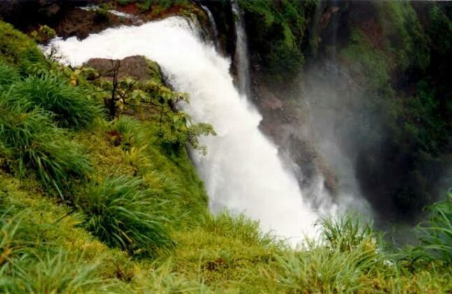 List Of 30 Waterfalls In Maharashtra That You Must Visit