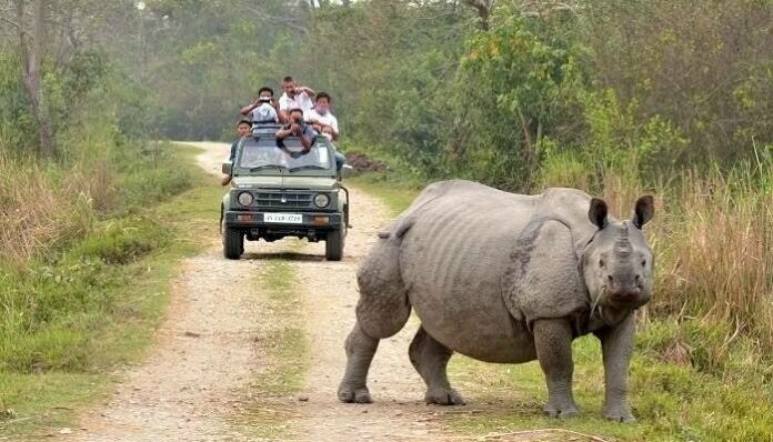 Best Assamese Tourist Places For An Unforgettable Vacation.