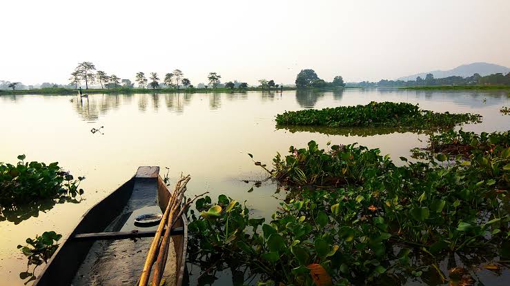 Best Assamese Tourist Places For An Unforgettable Vacation.