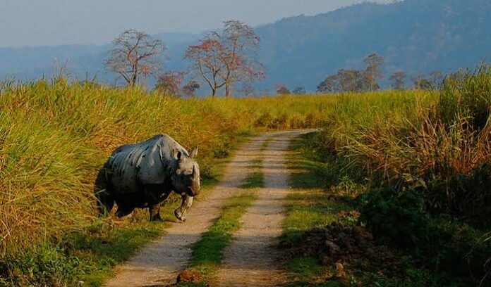 Best Assamese Tourist Places For An Unforgettable Vacation.
