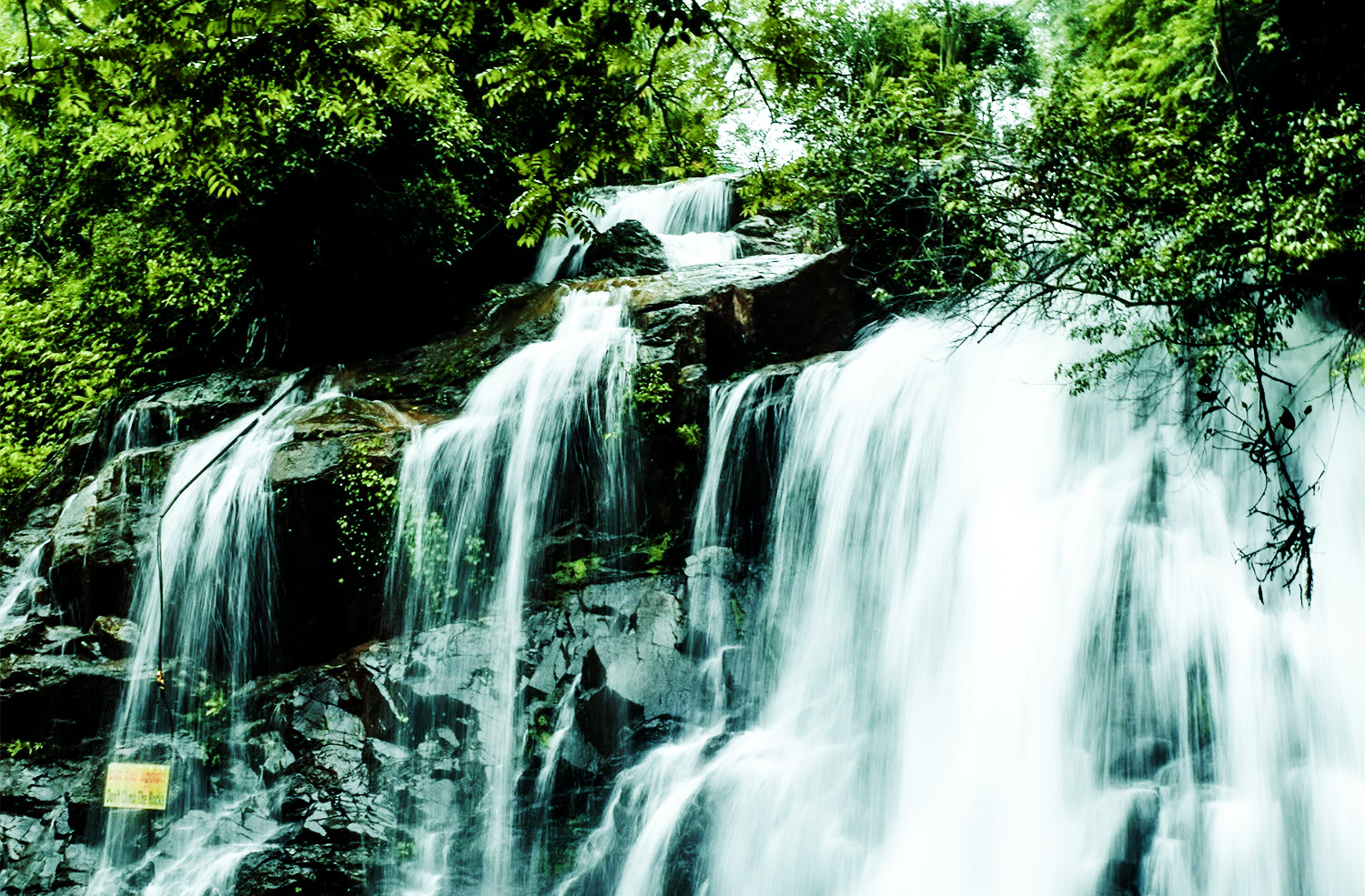 15 Waterfalls in Goa to Visit in June 2022 To Enjoy The Monsoon