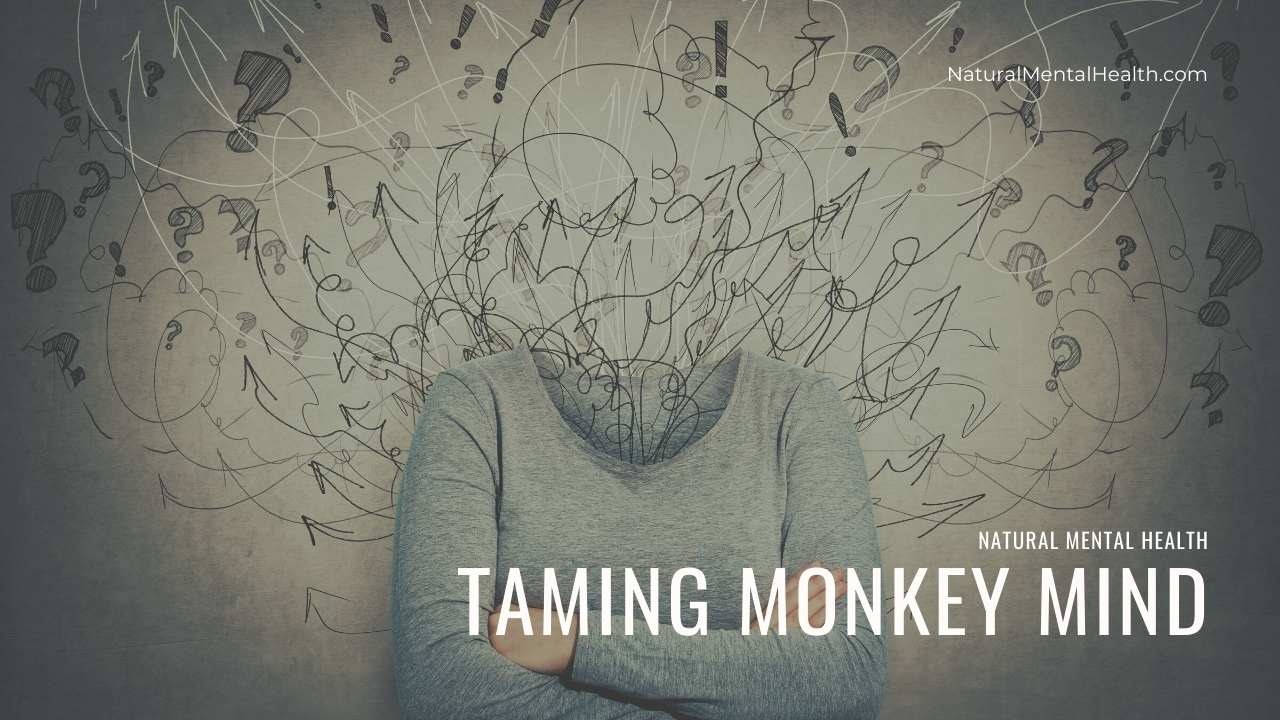 Beginners Guide For Meditation: Different Meditation Types