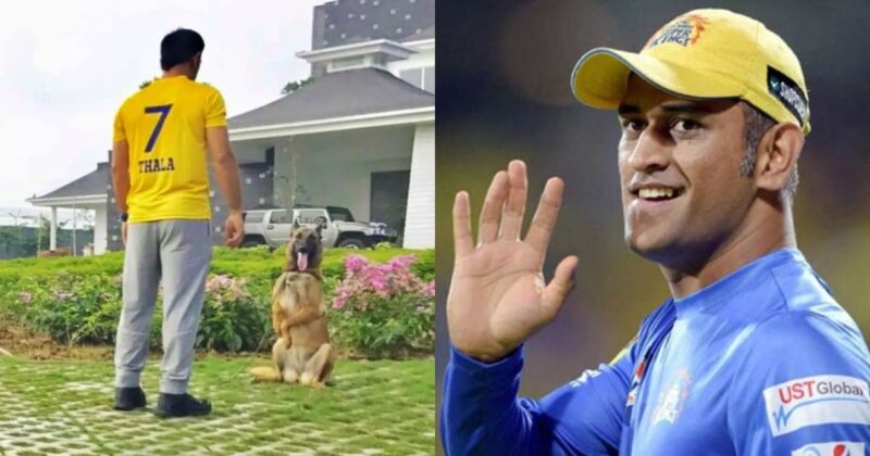 MS Dhoni gives priceless reply on asked about retirement plans after ... MS Dhoni gives priceless reply on asked about retirement plans after ...